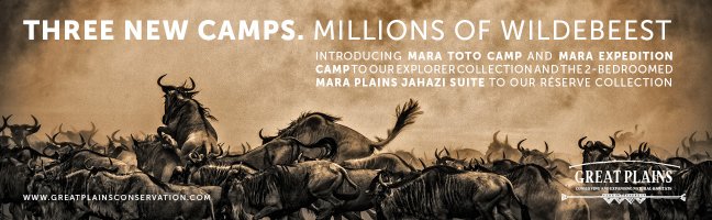 Exploring Tunisia by Road: How to Rent a Car and Travel Smart | The ...