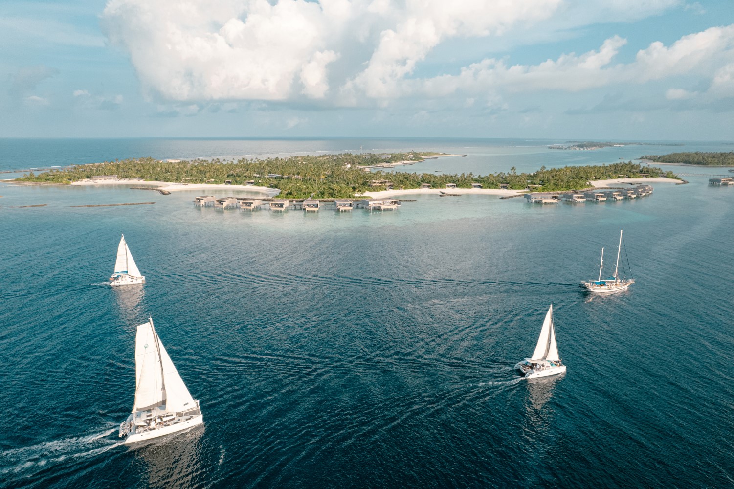 Sailing, soccer, and sustainability: Summer programming at Patina ...